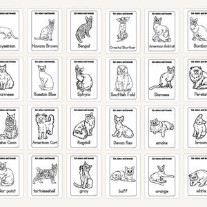 Cat Breeds Flashcards & Coloring Pages: Homeschool Nature Study (PDF ...