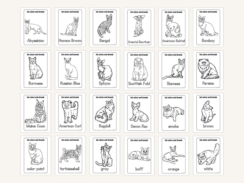 Cat Breeds Flashcards & Coloring Pages: Homeschool Nature Study (PDF ...