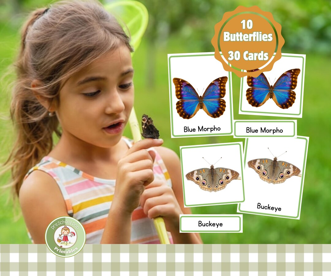 Butterfly Species 3 Part Cards; Butterfly Identification for Kids ...
