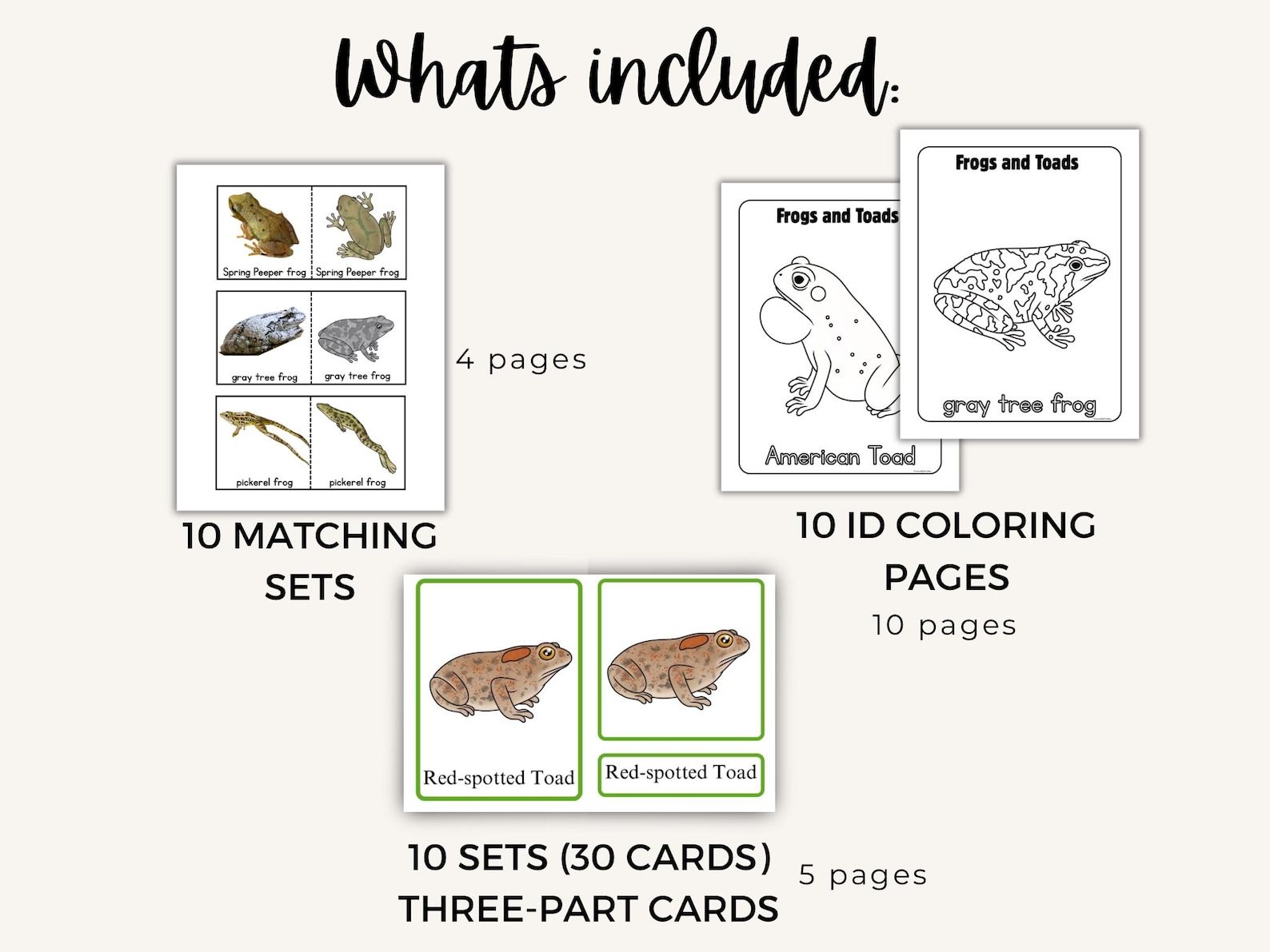 Frog & Toad Learning Activities: Homeschool Science Flashcards (PDF) - Etsy