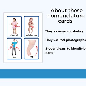 Names of Body Parts Flashcards; Printable Human Body, Anatomy ...
