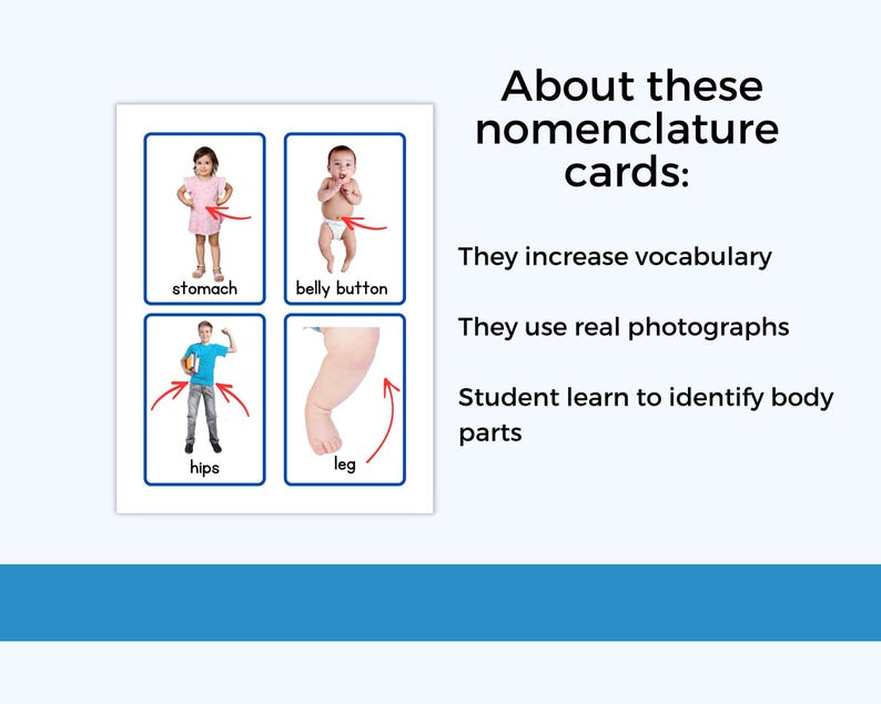Names of Body Parts Flashcards; Printable Human Body, Anatomy ...