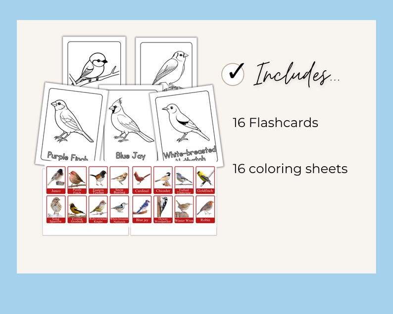 Winter Birds ID Cards: Montessori Homeschool Nature Unit (PDF) - Etsy