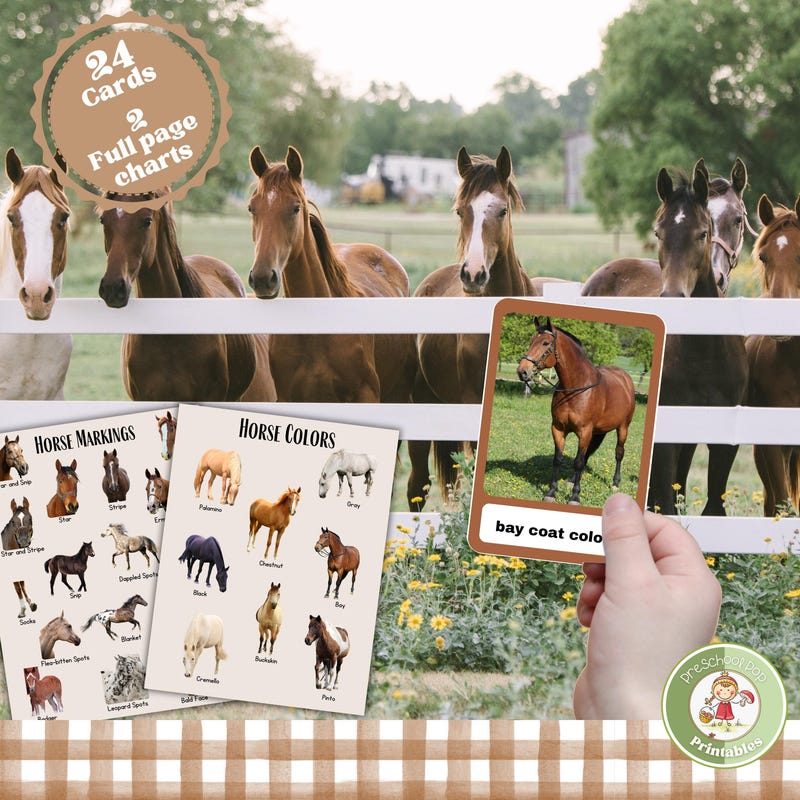 Horse Education Poster - Etsy UK