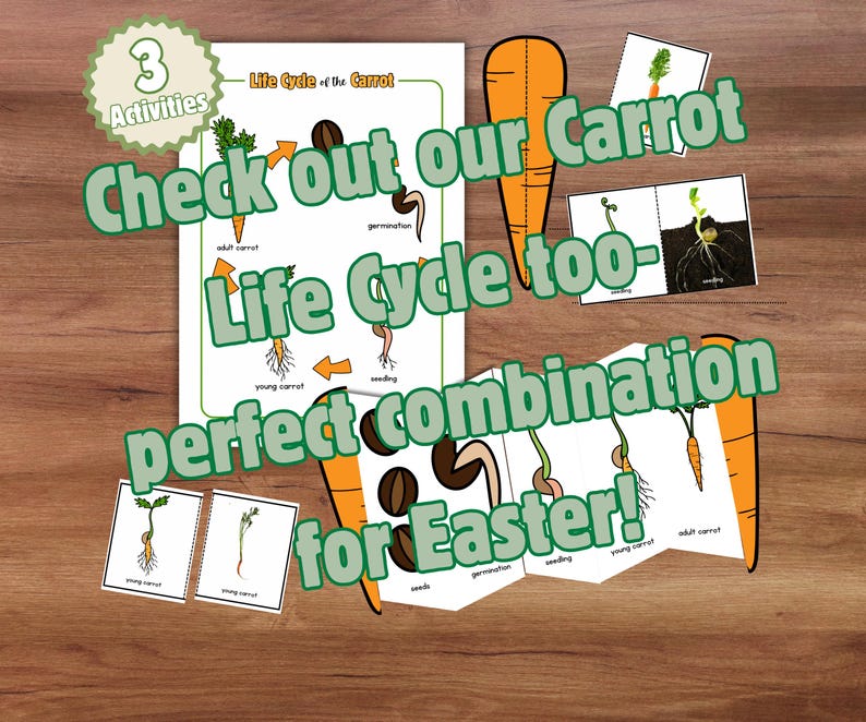 Rabbit Life Cycle Printables; 3 Nature Learning Activities for Kids ...