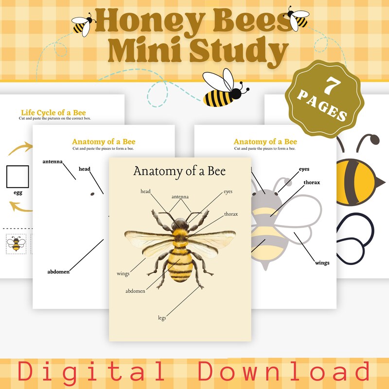 Honey Bee Unit - Etsy