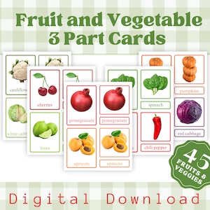 Printable Montessori-inspired 3 Part Cards, Fruits and Vegetables ...