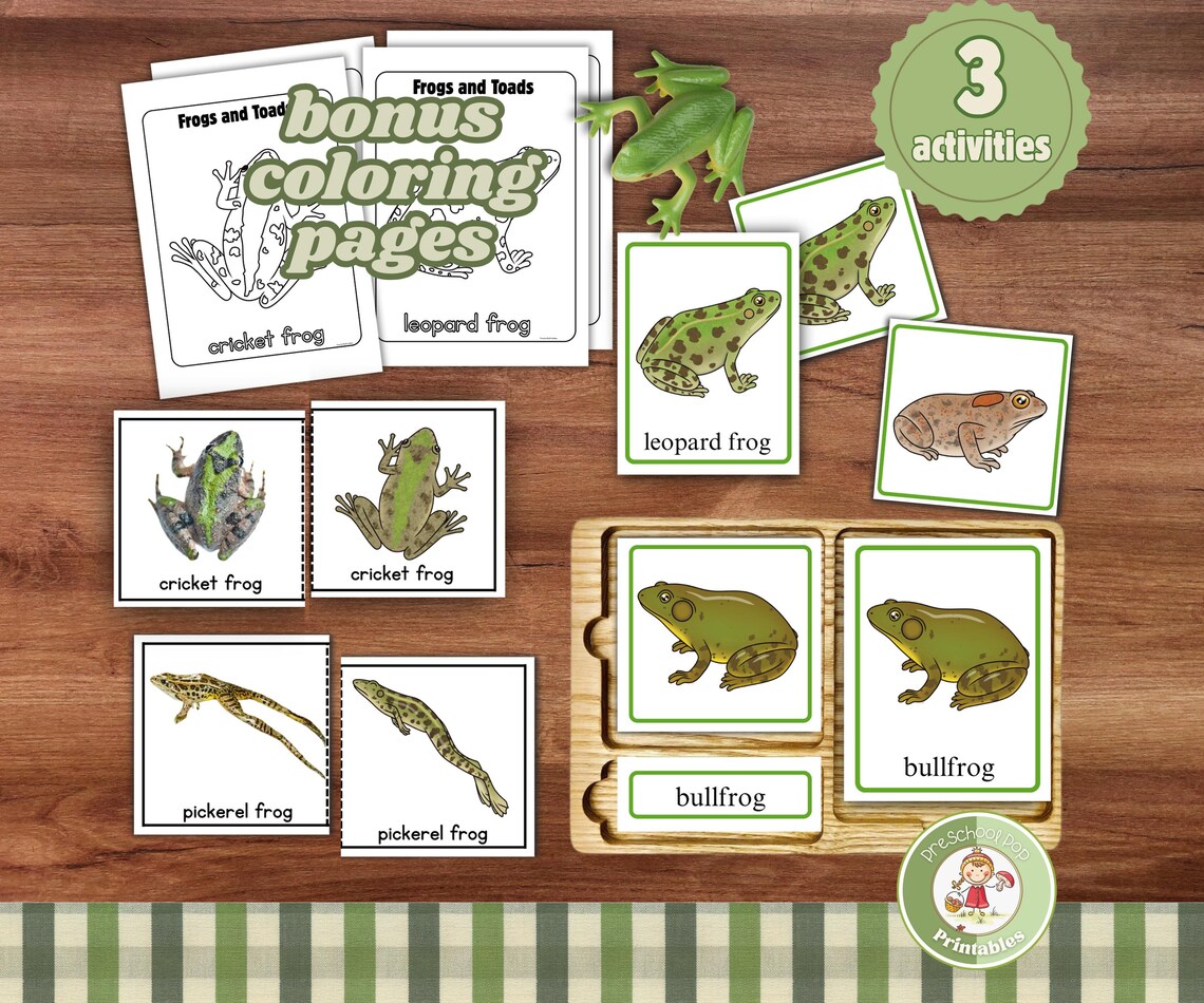 Frog & Toad Learning Activities: Homeschool Science Flashcards (PDF) - Etsy