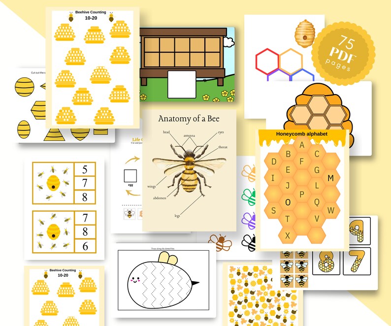 Honey Bee Mega Pack, Preschool Printable Learning Activity, Colors ...
