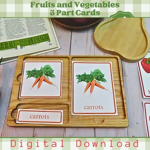 Printable Montessori-inspired 3 Part Cards, Fruits and Vegetables ...