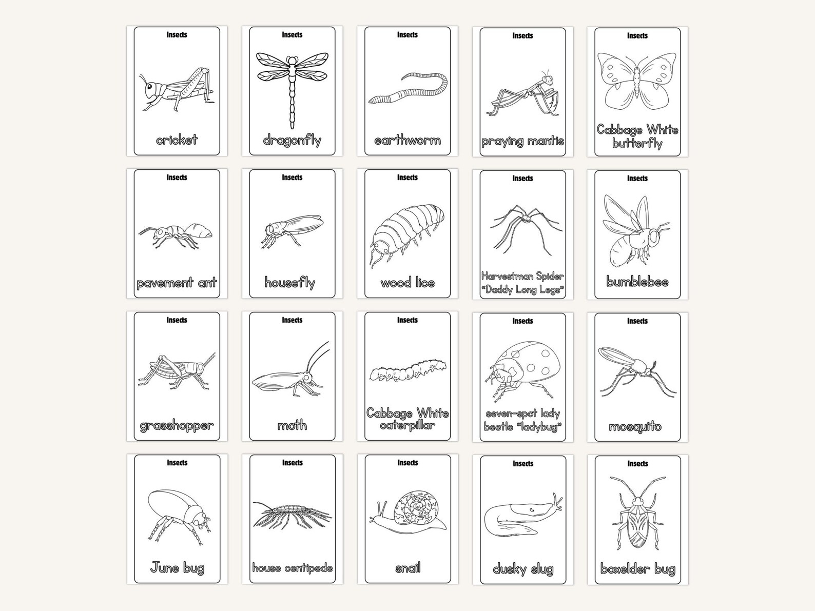 Insect Montessori Cards and Coloring Pages: Spring Homeschool Printable ...