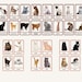 Cat Breeds Flashcards & Coloring Pages: Homeschool Nature Study (PDF ...