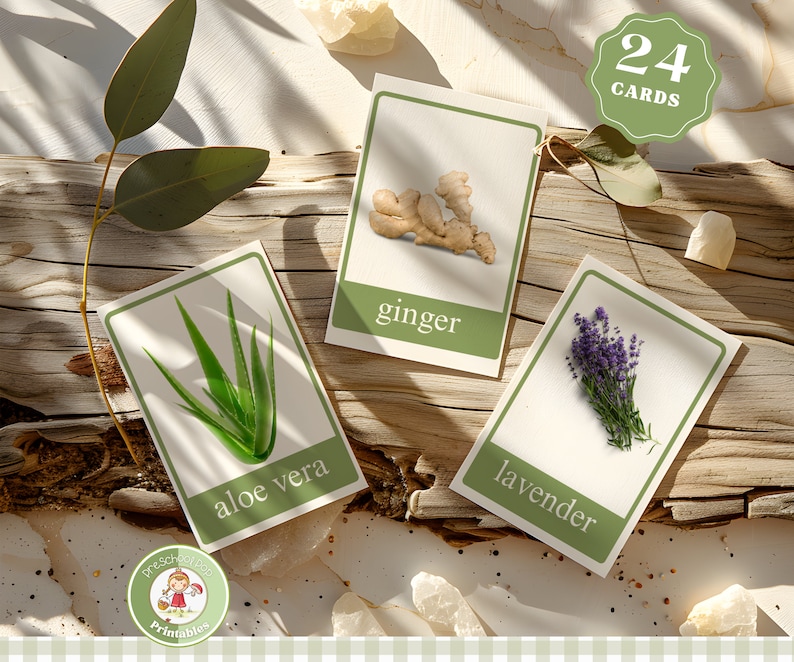 Medicinal Herb Flashcards: Nature Study, Homeschool Printable (PDF) - Etsy