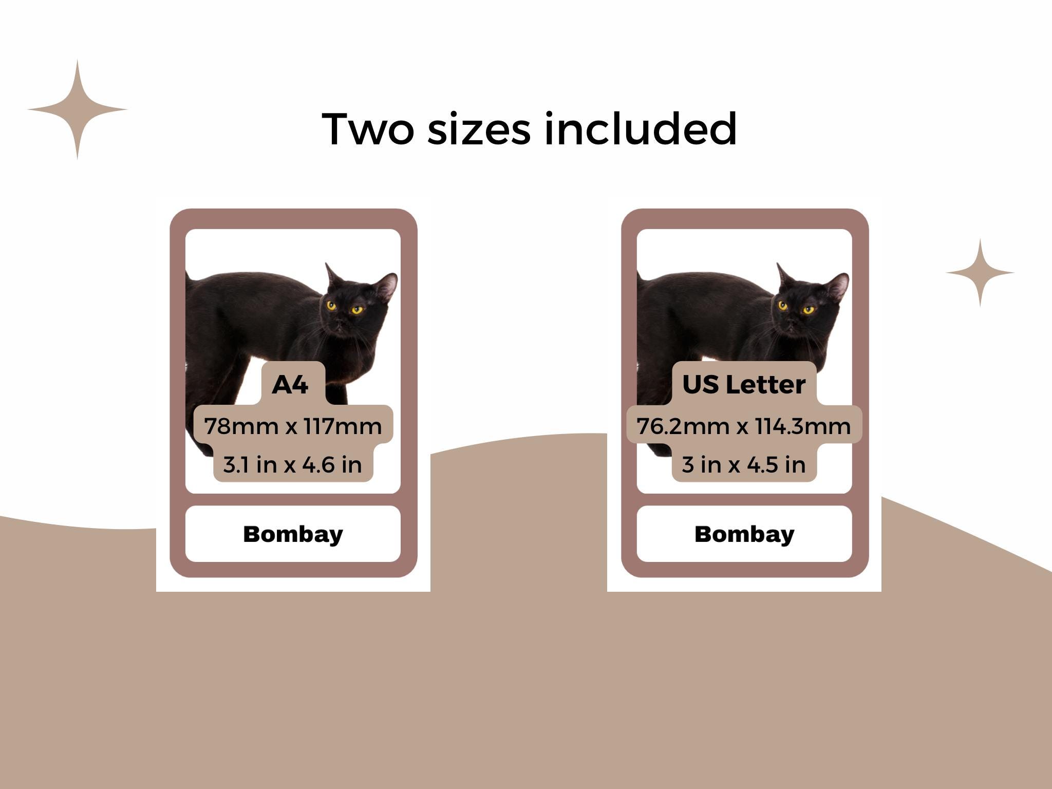 Cat Breeds Flashcards & Coloring Pages: Homeschool Nature Study (PDF ...