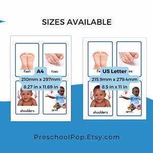 Names of Body Parts Flashcards; Printable Human Body, Anatomy ...