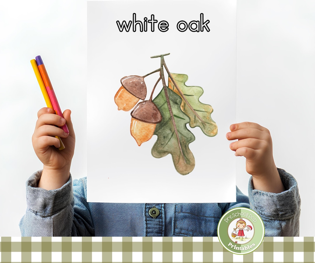 Tree Leaf Coloring Pages; Leaf Identification for Kids; Leaf and Leaves ...