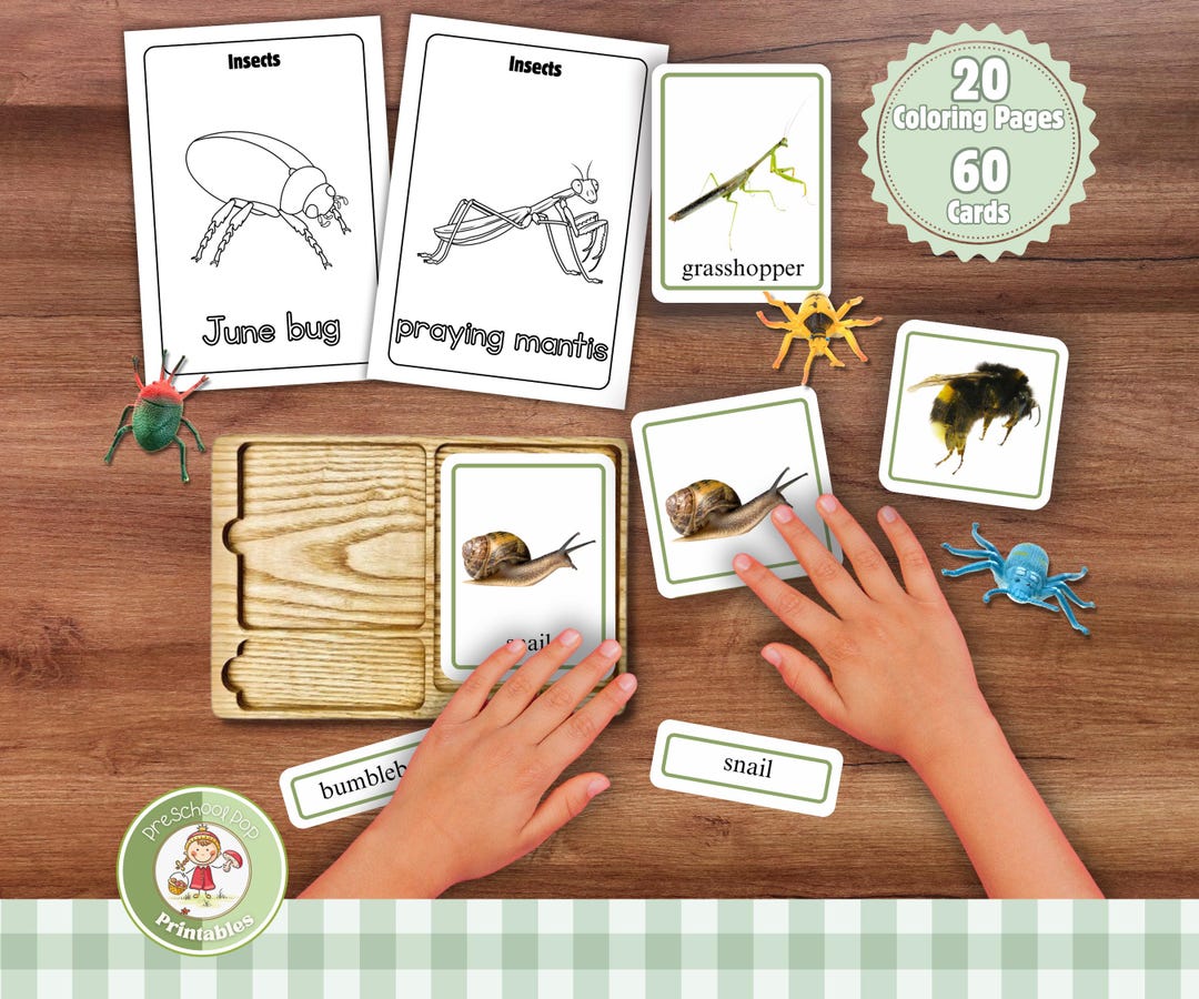 Insect Learning Activities; Montessori 3 Part Cards and Coloring Sheets ...