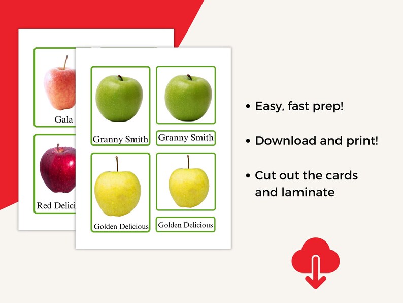 Apple Varieties Montessori 3 Part Cards With Real Photos, Printable ...