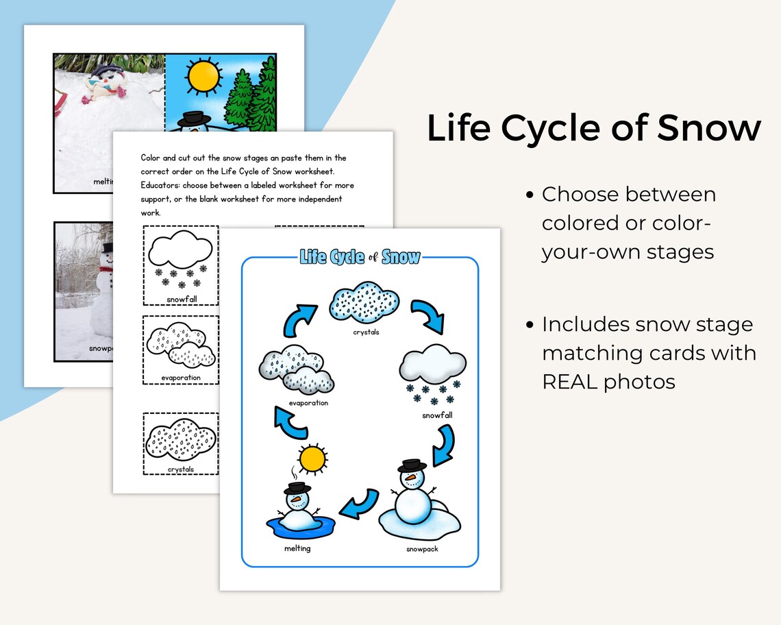 Winter Snow Printables; Types of Snowflakes Flashcards; Life Cycle; 3 ...