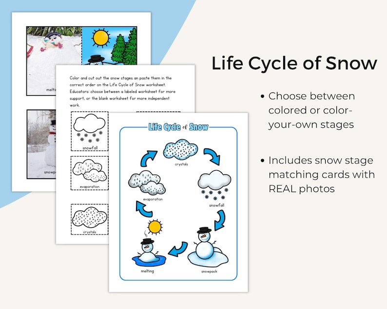 Winter Snow Printables; Types of Snowflakes Flashcards; Life Cycle; 3 ...