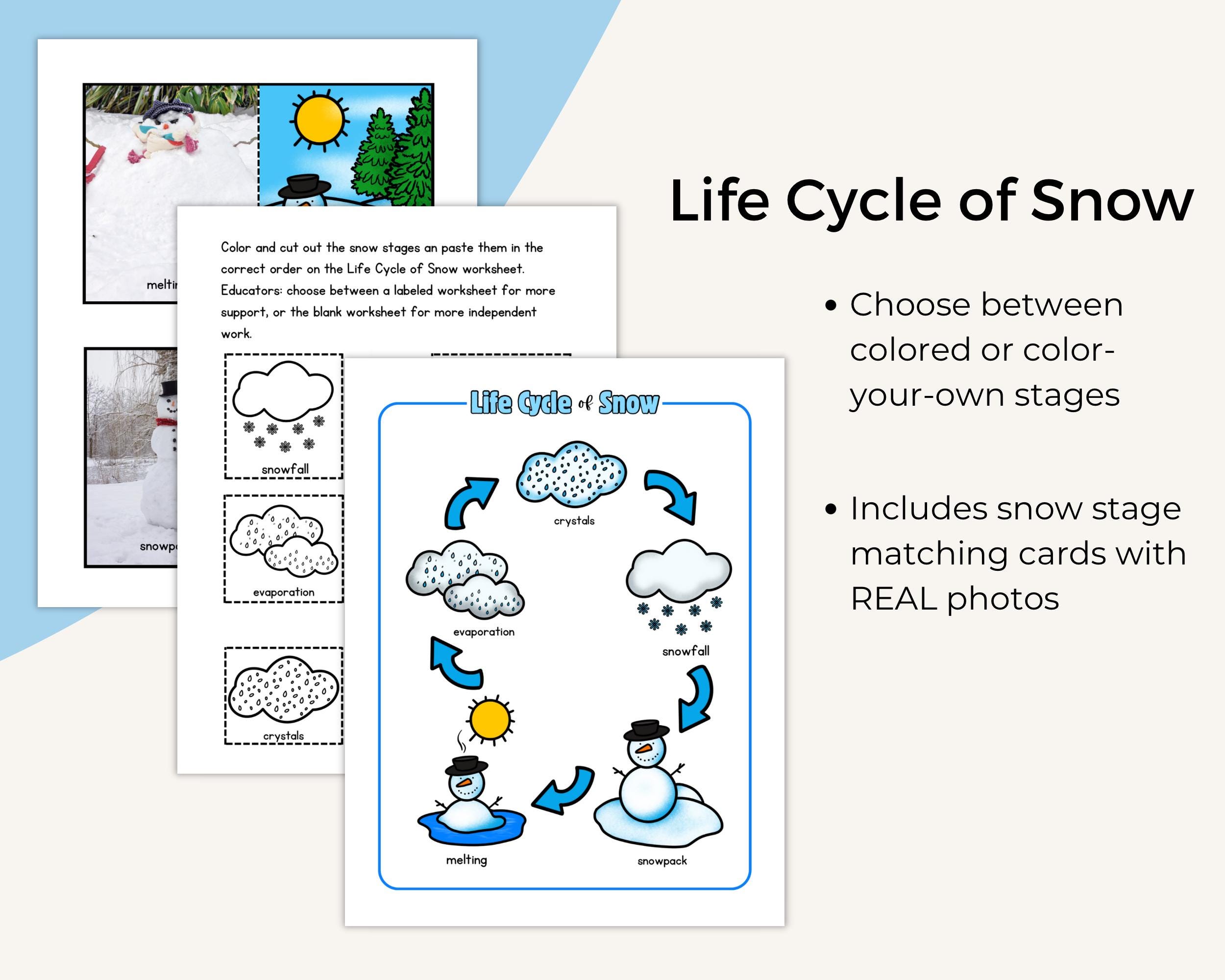 Winter Snow Printables; Types of Snowflakes Flashcards; Life Cycle; 3 ...