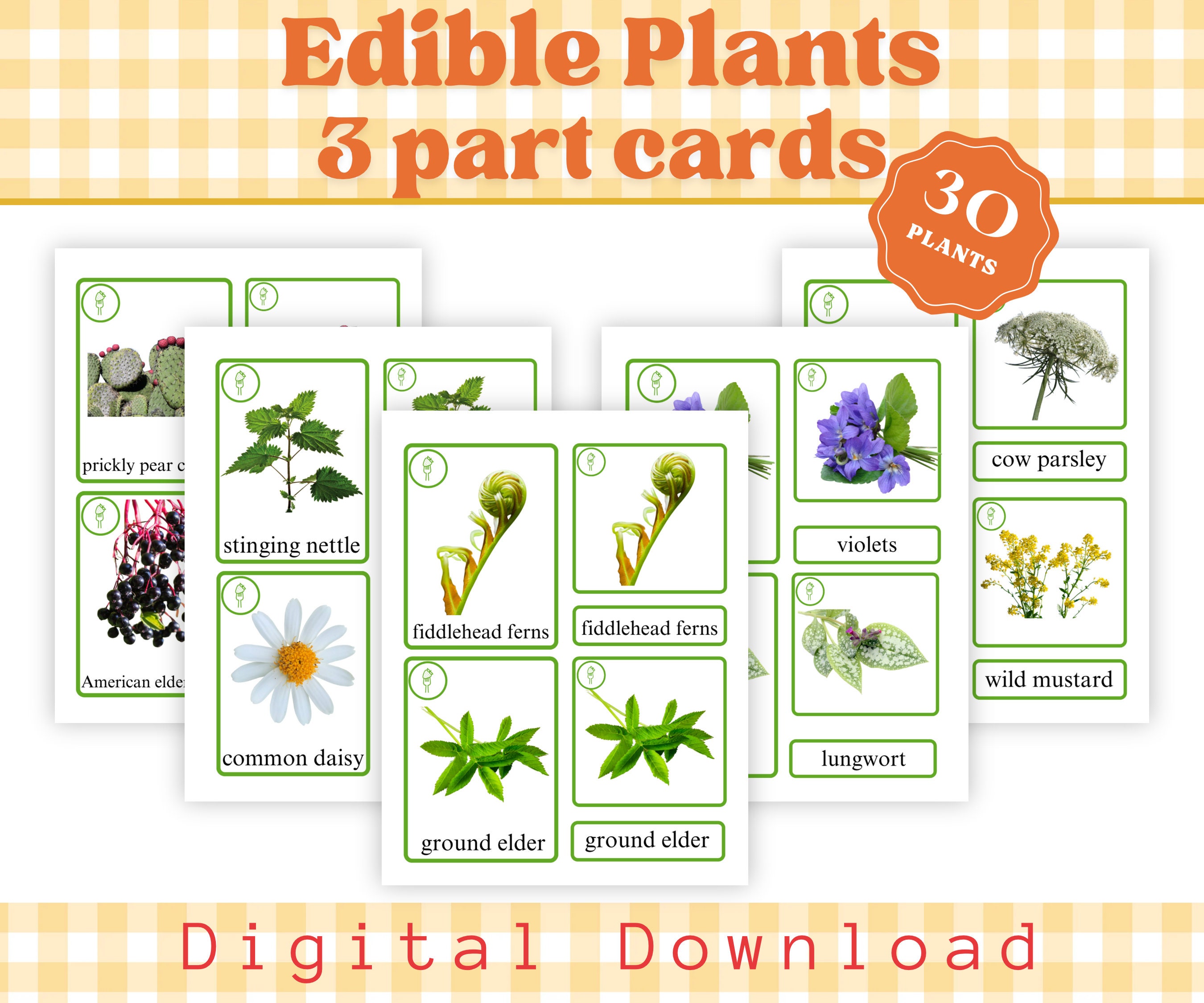 Printable Montessori 3 Part Cards Edible Plants, Nomenclature for ...