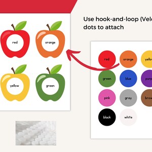 Apple Theme Color Matching Game for Preschool Colors Sorting Activity ...