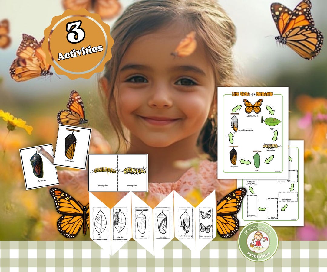 Butterfly Life Cycle, Folding Craft & Matching Cards (PDF) - Etsy