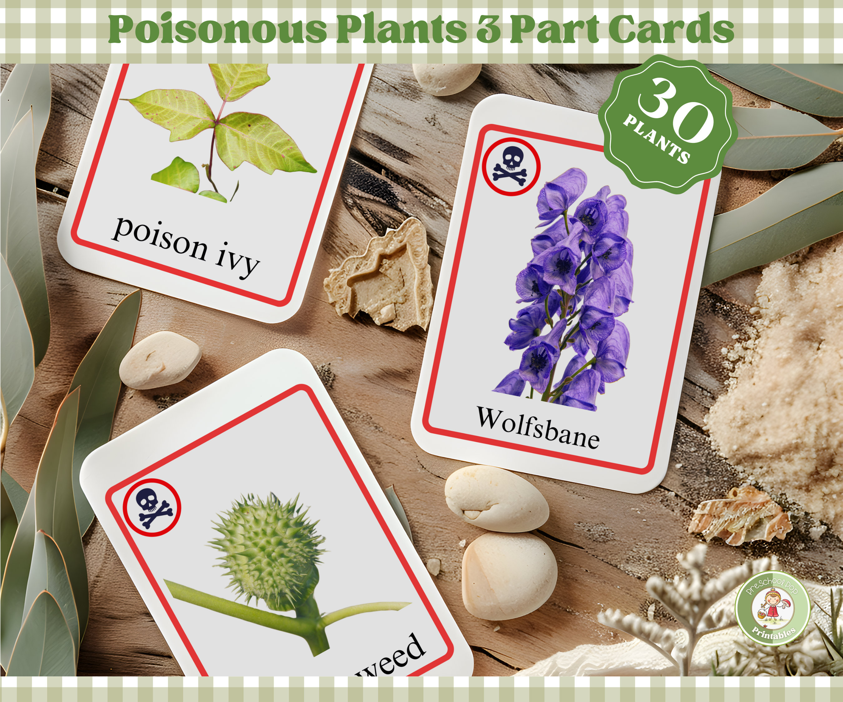 Poisonous Plants Montessori 3 Part Cards With Real Photos, Printable ...
