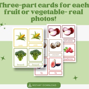 Printable Montessori-inspired 3 Part Cards, Fruits and Vegetables ...