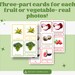 Printable Montessori-inspired 3 Part Cards, Fruits and Vegetables ...