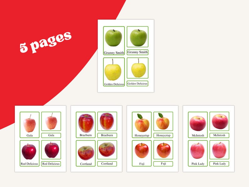 Apple Varieties Montessori 3 Part Cards With Real Photos, Printable ...