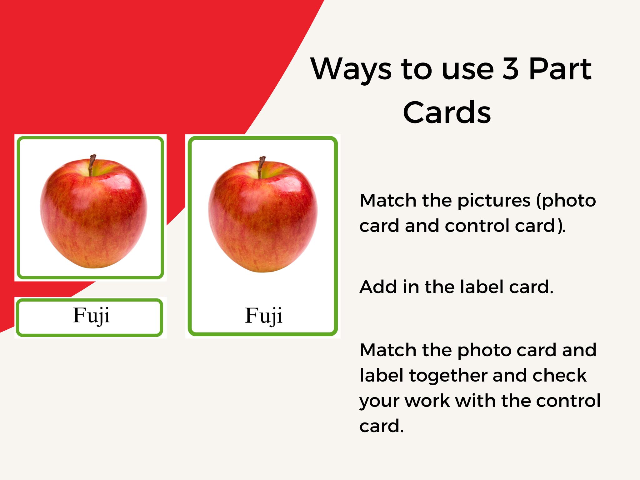 Apple Varieties Montessori 3 Part Cards With Real Photos, Printable ...