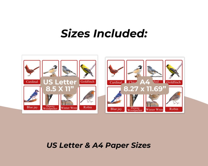 Winter Birds ID Cards: Montessori Homeschool Nature Unit (PDF) - Etsy