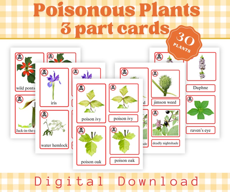 Poisonous Plants Montessori Cards: Homeschool Nature Study (PDF) - Etsy