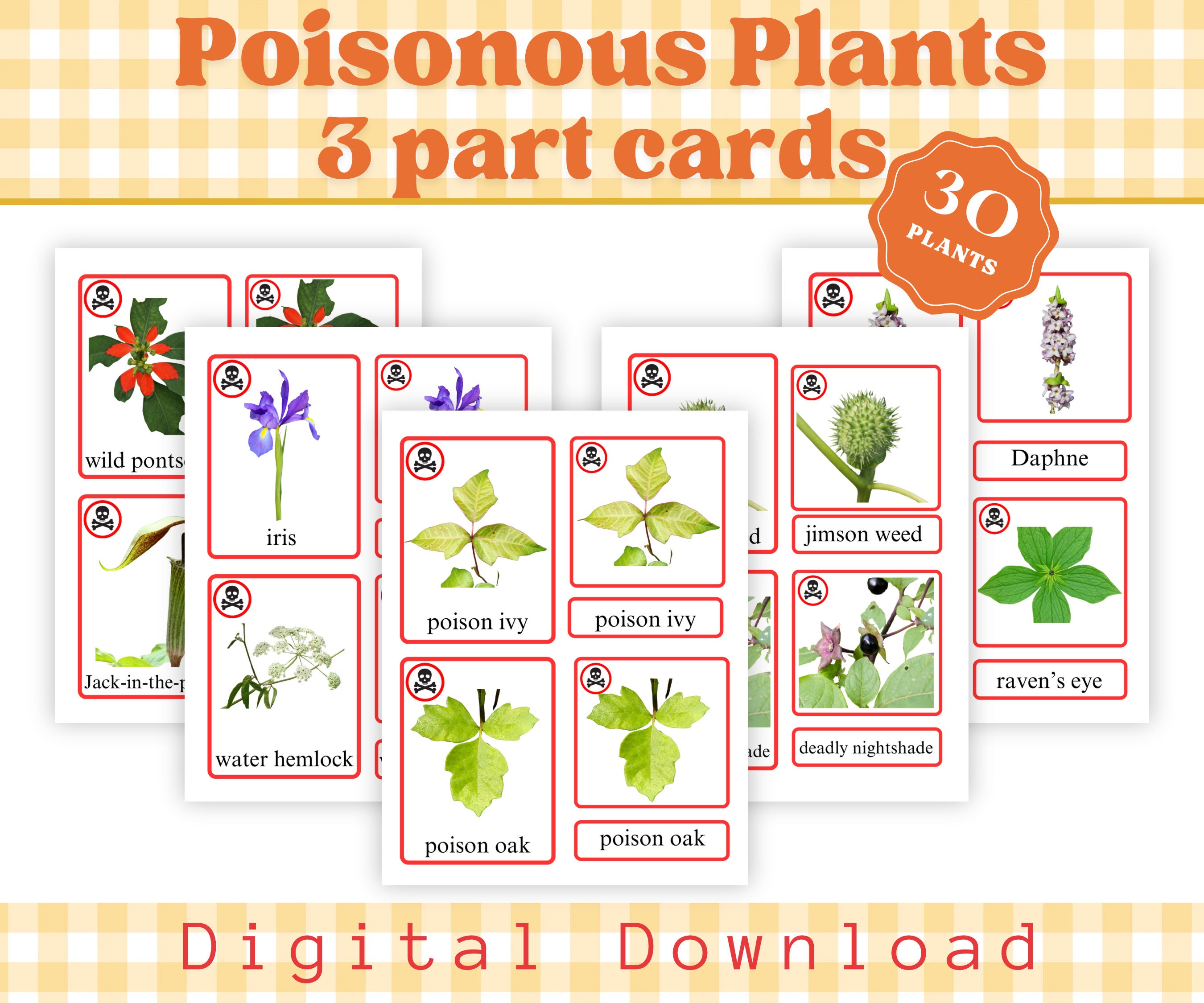 Poisonous Plants Montessori 3 Part Cards With Real Photos, Printable ...