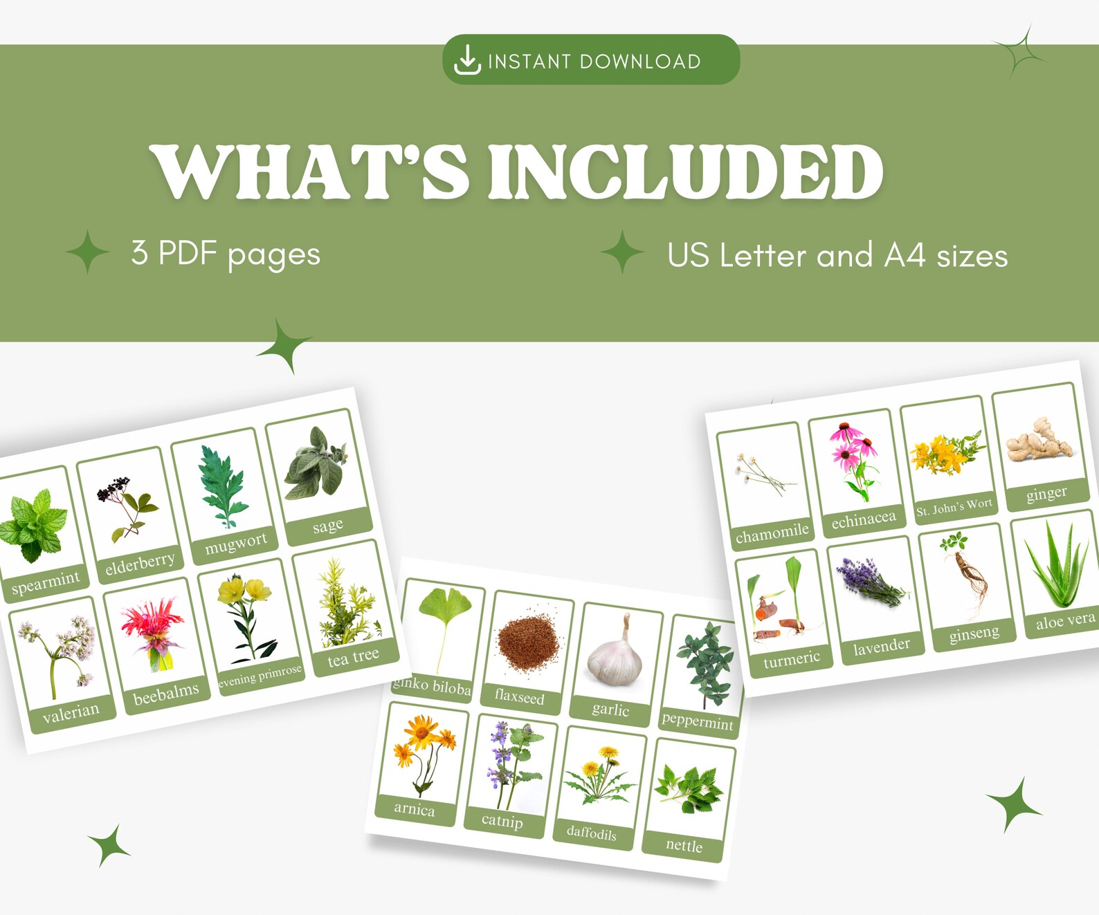 Medicinal Herb Flashcards: Nature Study, Homeschool Printable (PDF) - Etsy
