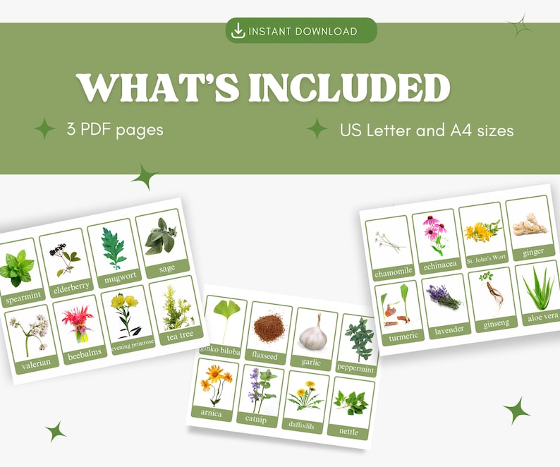 Medicinal Herbs & Plants Identification Cards for Kids; Printable ...