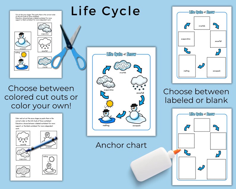 Winter Snow Printables; Types of Snowflakes Flashcards; Life Cycle; 3 ...