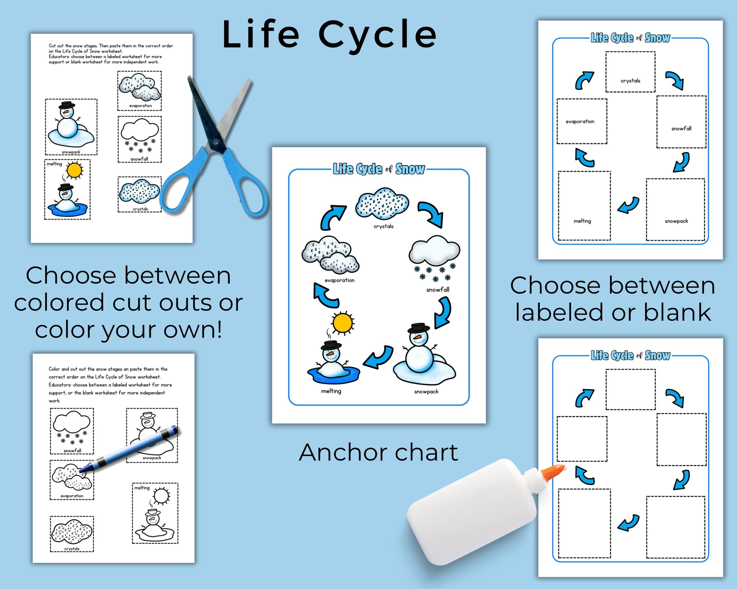 Winter Snow Printables; Types of Snowflakes Flashcards; Life Cycle; 3 ...