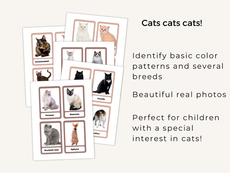Cat Breeds Flashcards & Coloring Pages: Homeschool Nature Study (PDF ...