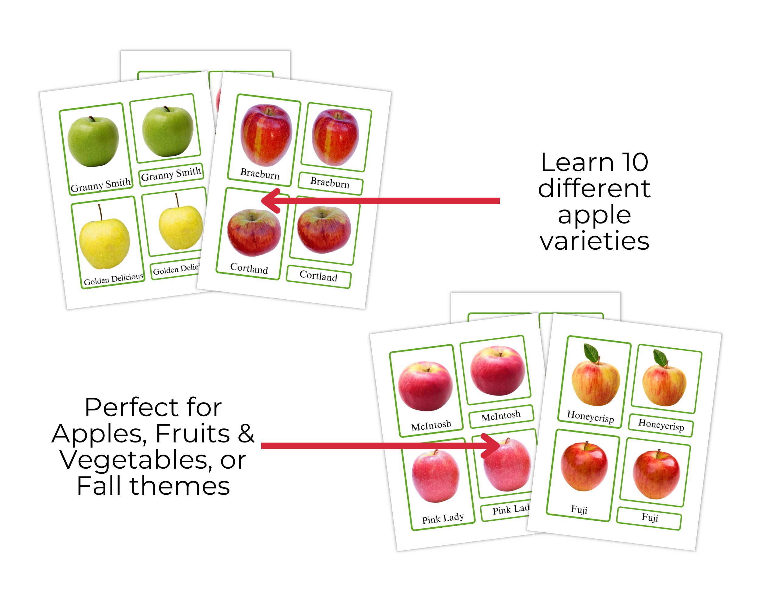 Apple Varieties Montessori 3 Part Cards With Real Photos, Printable ...