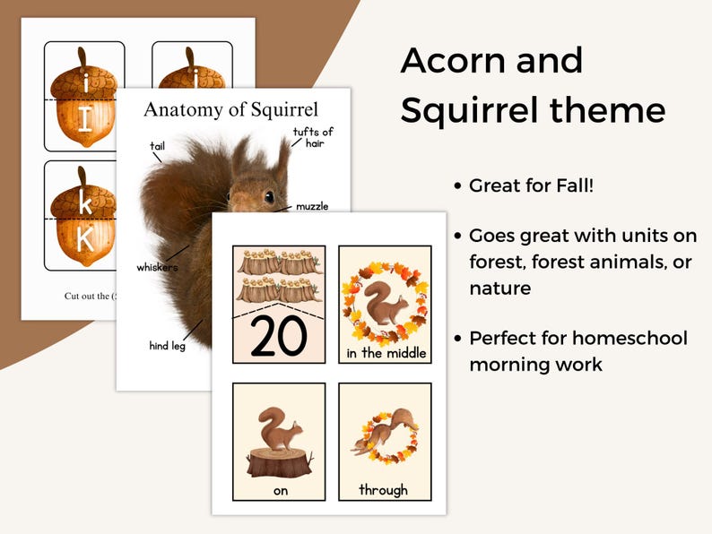 Acorn & Squirrel Unit; Fall Preschool Theme; Pre-k Letter Tracing ...