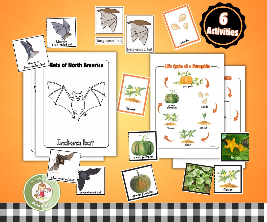 Halloween Science Printables: Bats & Pumpkin Life Cycle Activities (PDF ...