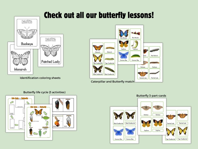 Butterfly Coloring Pages for Kids; Types of Butterflies; Charlotte ...
