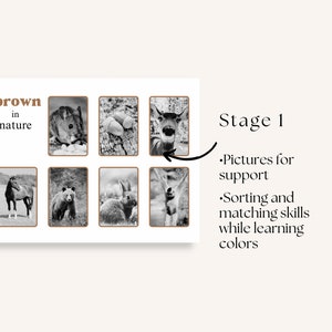 Colors in Nature Learning Activity for Toddlers, Printable Color Sort ...