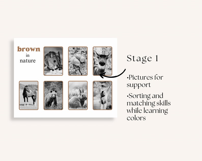 Colors in Nature Learning Activity for Toddlers, Printable Color Sort ...