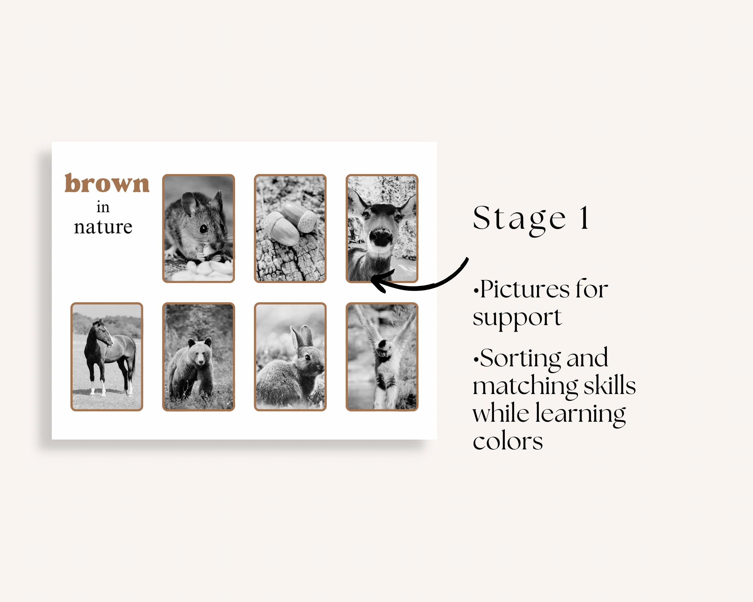 Colors in Nature Learning Activity for Toddlers, Printable Color Sort ...