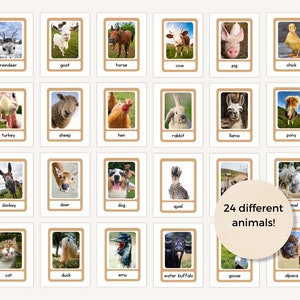 Funny Farm Animal Flashcards, Montessori Inspired Vocabulary Flash ...
