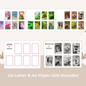 Colors in Nature Learning Activity for Toddlers, Printable Color Sort ...